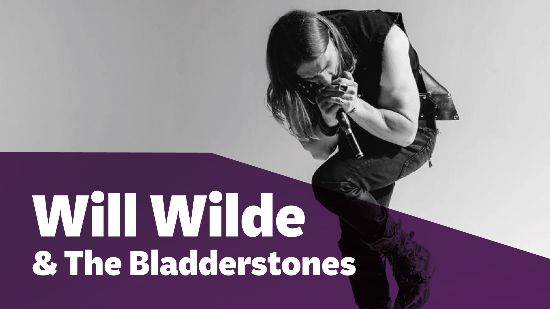 Jazz & Bluesové dny — Jaro 2026: 4: Will Wilde & The Bladderstones ...